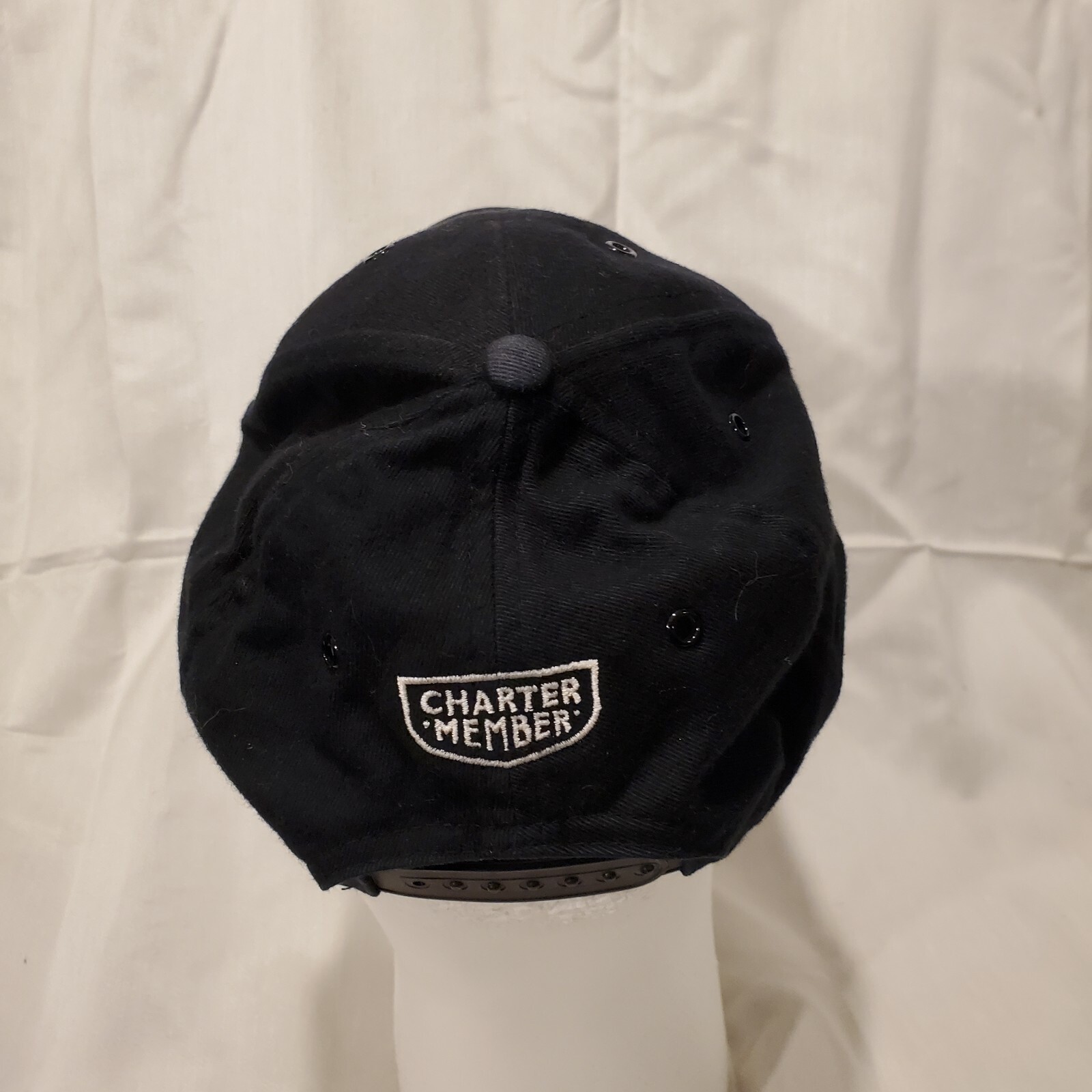 RARE Team Ford Racing CHARTER MEMBER Hat Cap Snapback Cap FordRacing ...