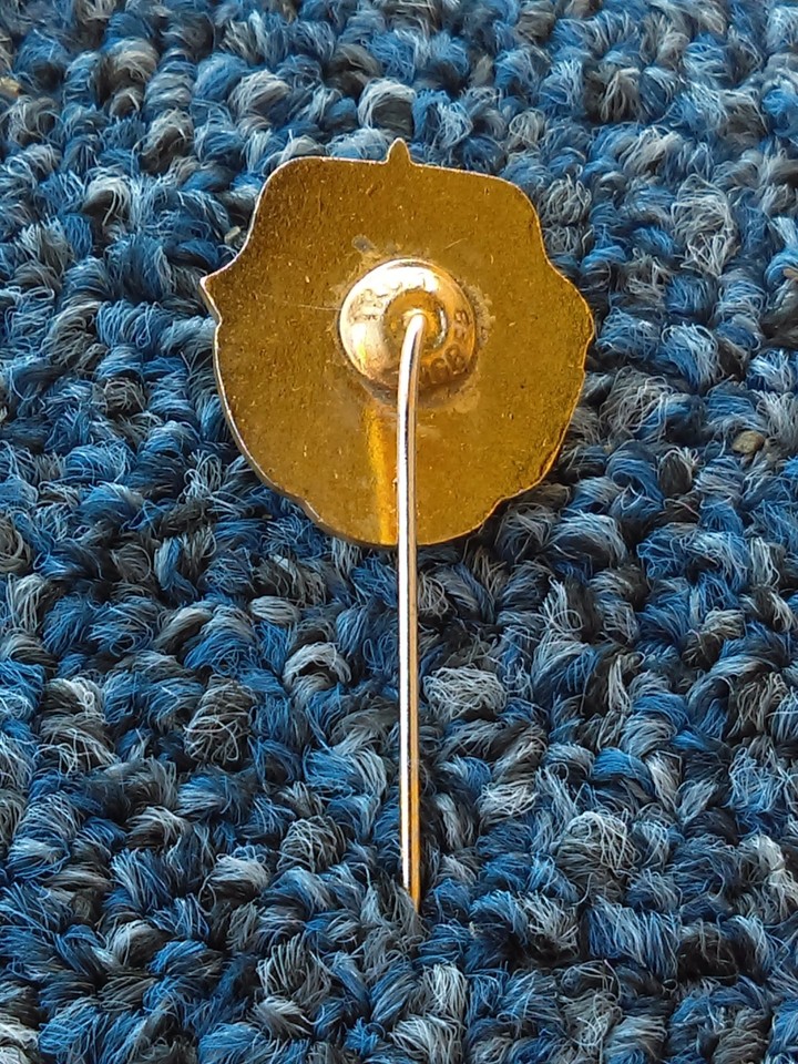 YUGOSLAVIA ELITE TITO GUARD, PRATEĆI BATALJON 1942-1982, VINTAGE PIN ...