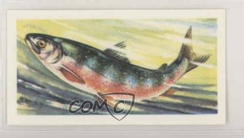 1973 Brooke Bond Freshwater Fish Black Back Char #21 z6d | eBay