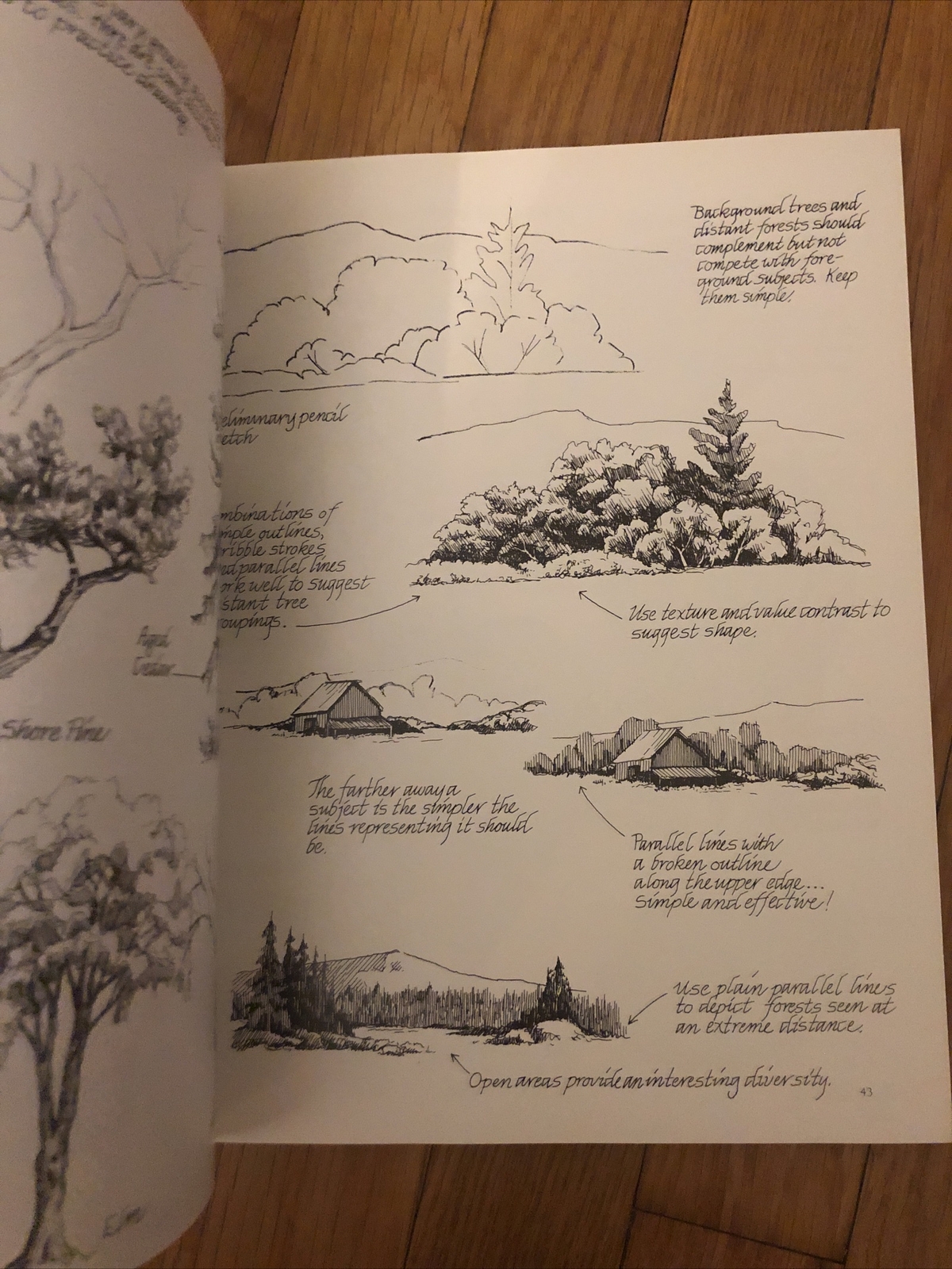 First Steps Ser.: Drawing in Pen and Ink by Claudia Nice (1997, Trade ...