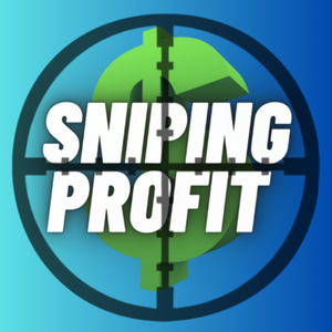 Sniping Profit | eBay Stores