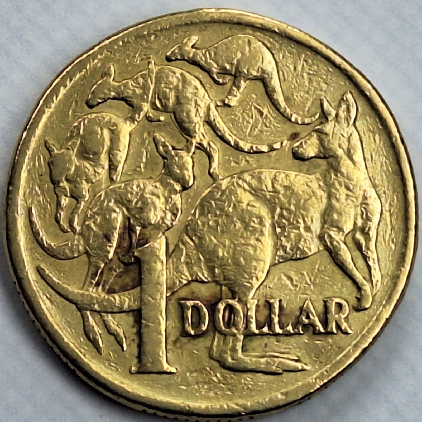 2000 1 Dollar Australian Coin - Mob of Roos - Low Mintage - Circulated ...