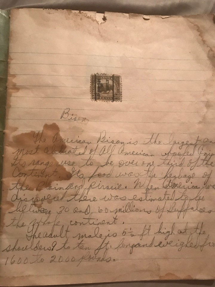US, Old time Stamp Collection In Composition Book With Explanations ...