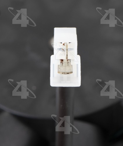 Radiator Fan Assy Hayden 3901 | eBay