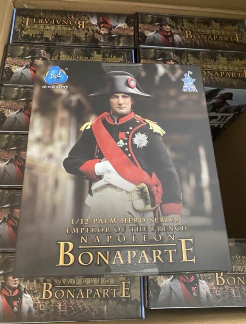 DID 1/12 Scale XN80020 Emperor of the French Empire Napoleon Action ...