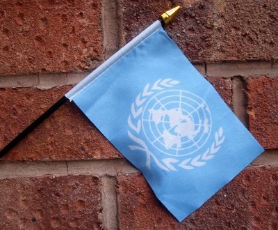 UNITED NATIONS flag PACK OF TEN SMALL HAND WAVING FLAGS | eBay UK