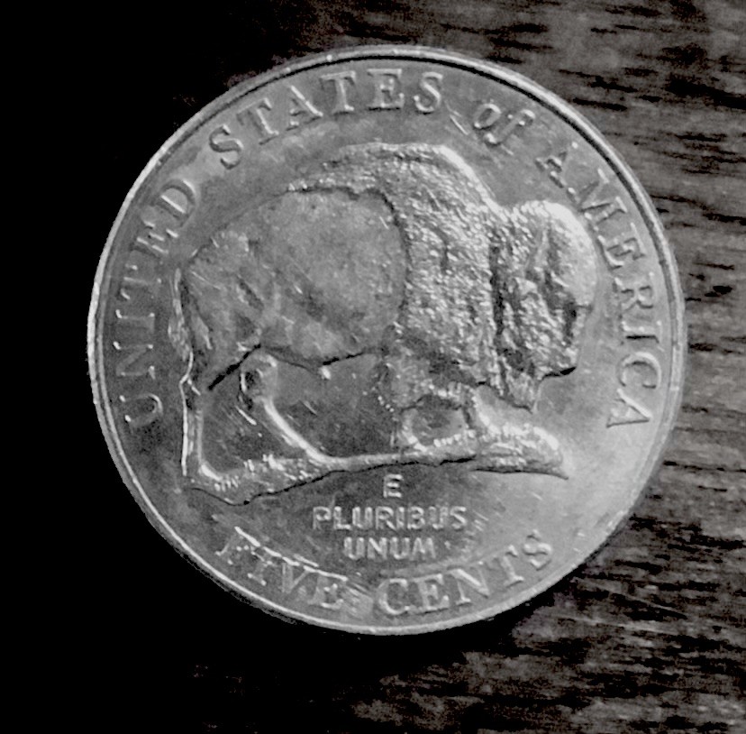 Rare 2005 D Jefferson Buffalo Nickel | eBay