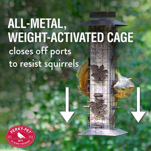 Perky-Pet 336-1SR Squirrel-Be-Gone Bird Feeder, 2LB Squirrel Proof ...
