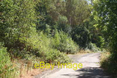 Photo 6x4 Quarry Road Grove, The/SJ3705 Disused Callow Quarry. The road ...