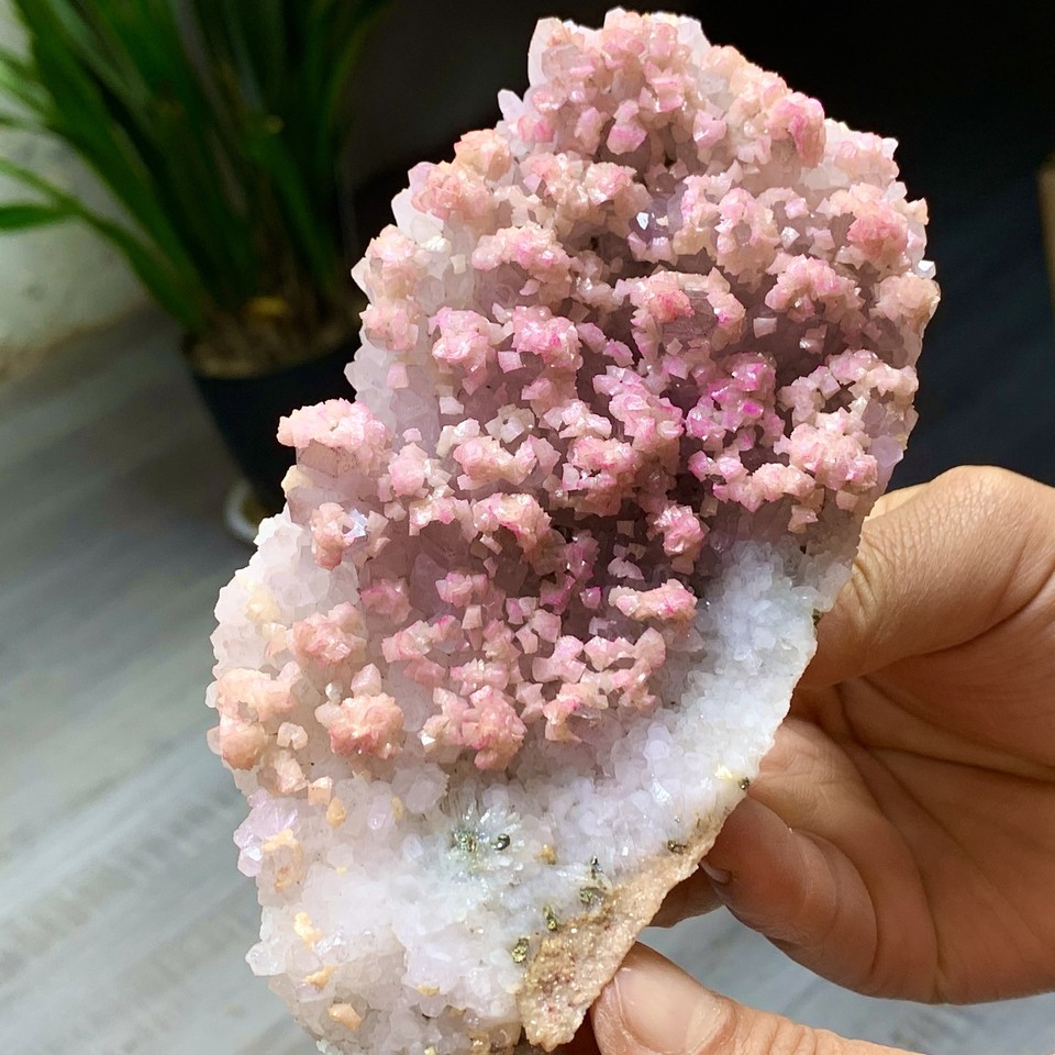 386G Natural coarse red corundum and phlogo mineral powder ruby raw ...