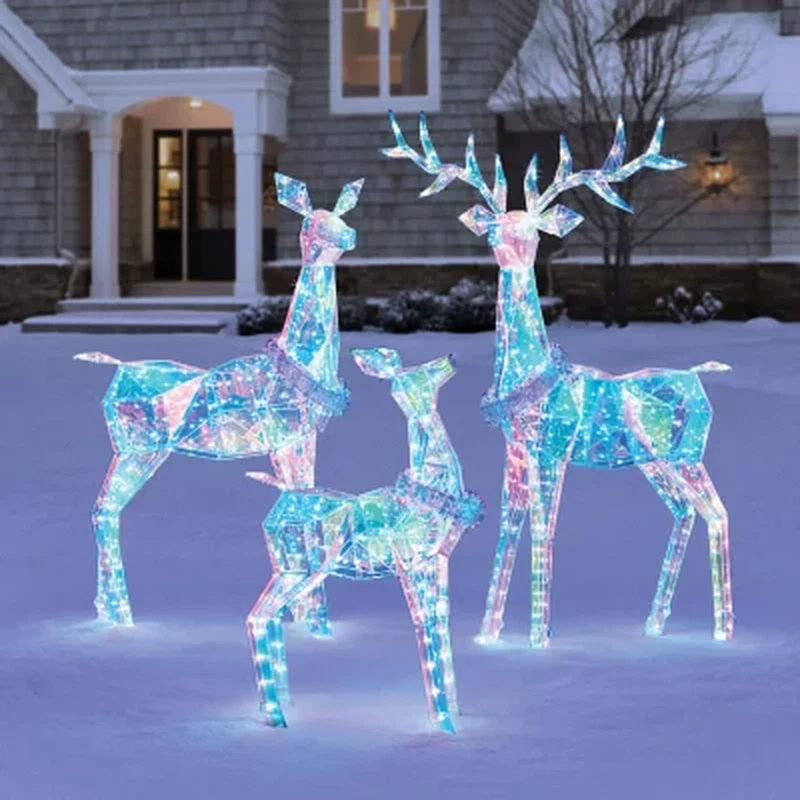 Real Christmas Reindeer