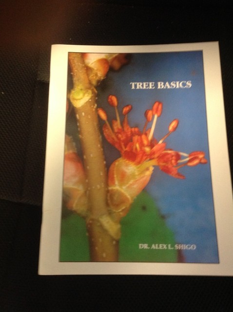 Dr. Shigo's Tree Ser.: Tree Basics : What Every Person Needs to Know ...