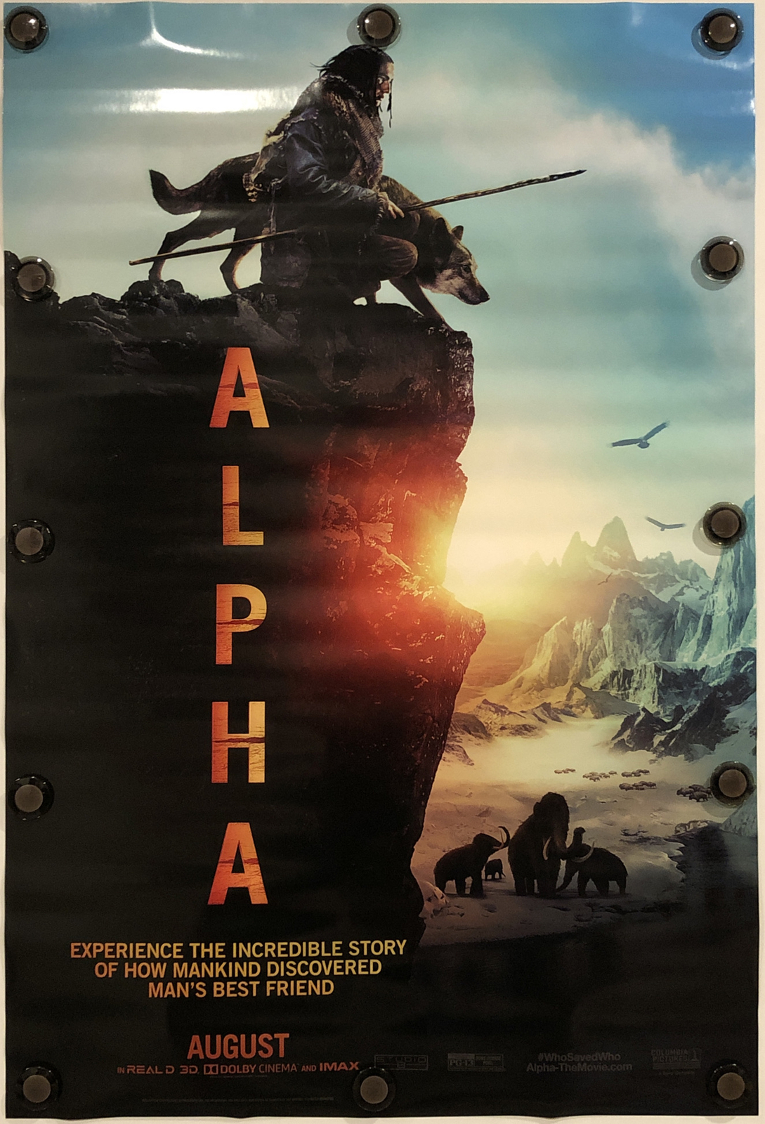 Alpha Movie Poster for sale | Only 2 left at -65%