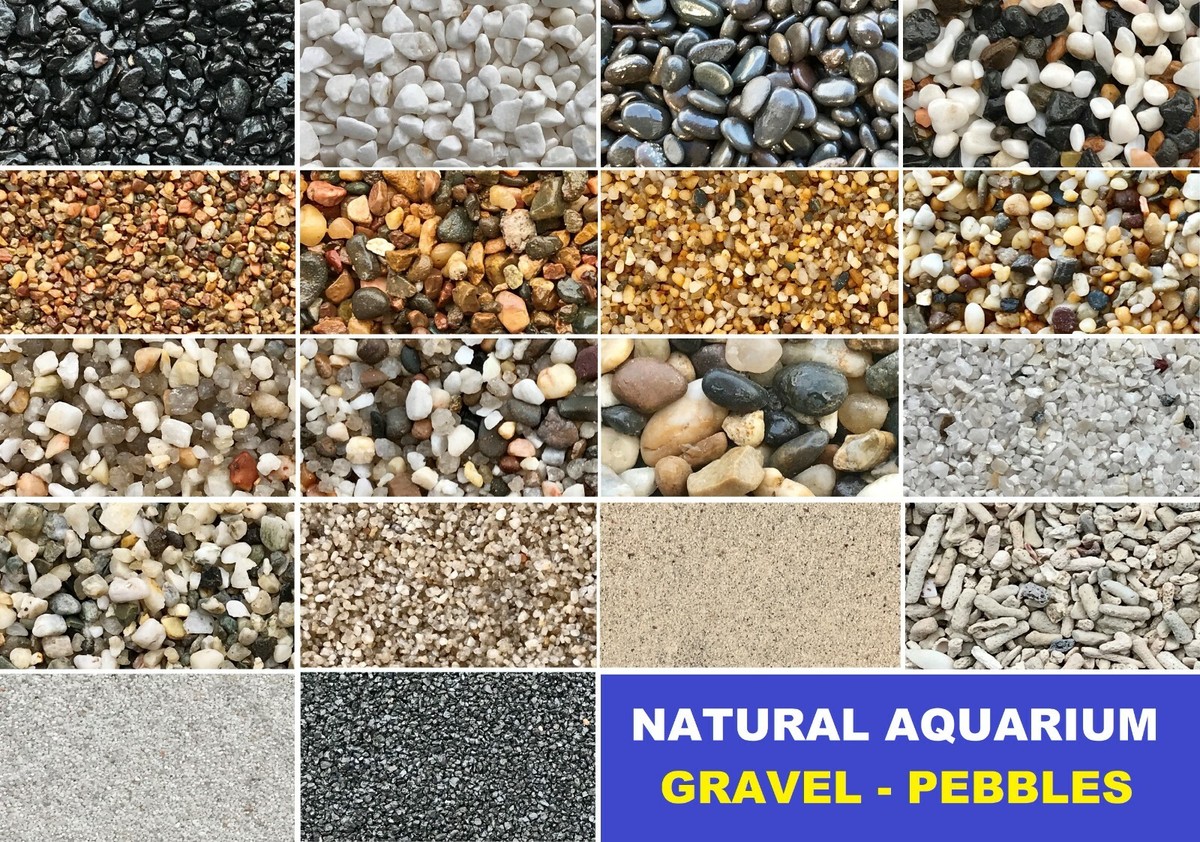 Three Golden Fish Pebbles Bowls Fish Jumping Stock Photos Free