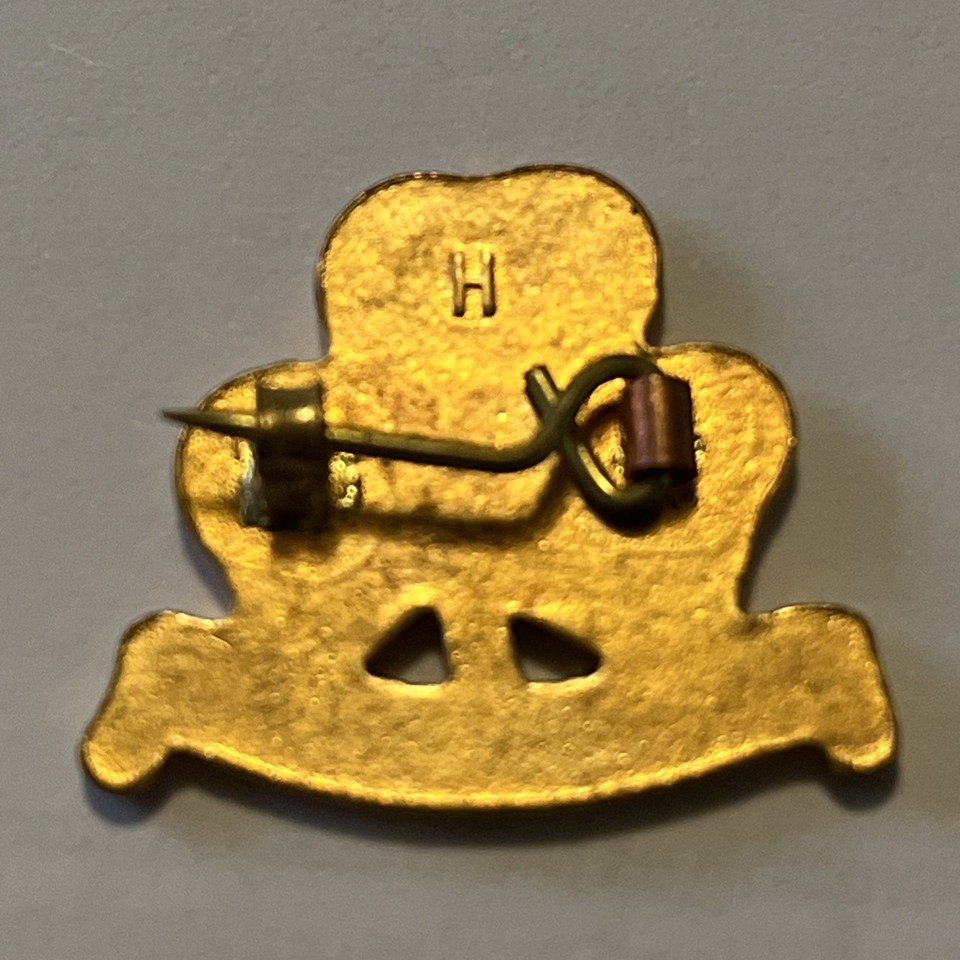 Girl Guide Metal Badge. Baden-Powell award 1st issue with enamelled ...