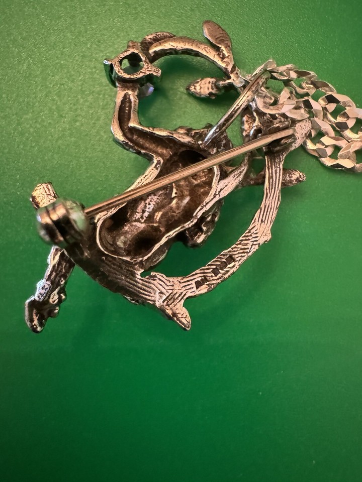 JANE GOODALL SIGNATURE CHIMPANZEE -STERLING SILVER CHAIN NECKLACE/ PIN ...