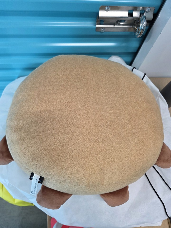 line friends bt21 face cushion SHOOKY jumbo size | eBay