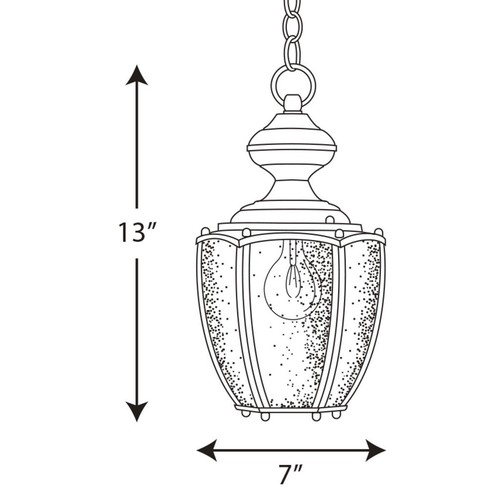 Progress Lighting P5565-31 Roman Coach 1-Light Outdoor Black Hanging ...