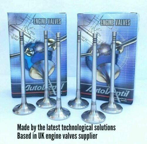 6 INLET VALVES FOR E A8 02210960 1 BSB AZC BTE AYL AQN AUE VR6 AZX | eBay