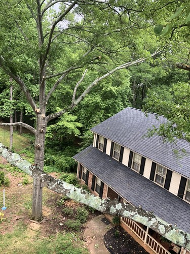 Tanaka TCS33EDTP/12 12 inch Top Handle Chainsaw for sale online | eBay