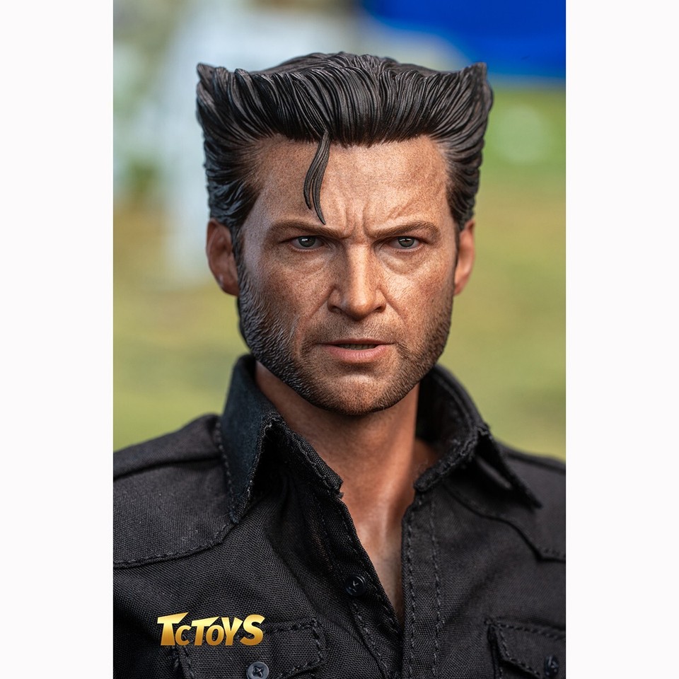 Top Copy Toys TC001 1/6th Wolfman Wolverine Logan Clawed Hands Head ...