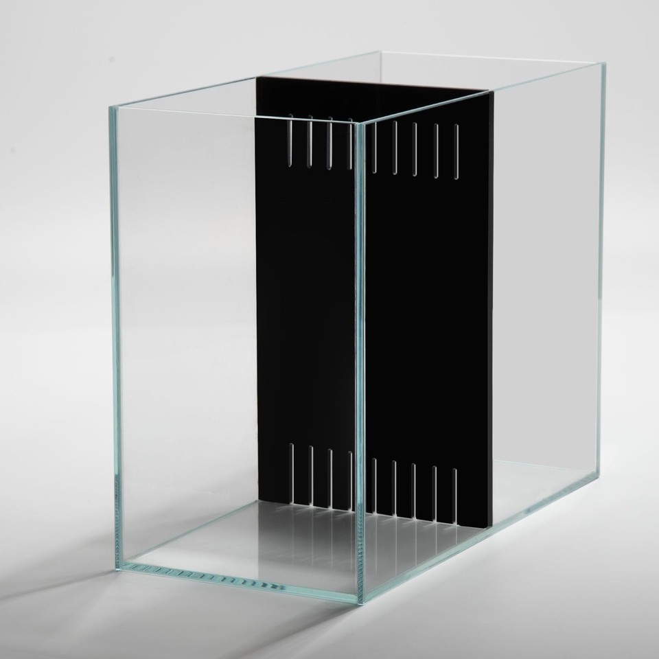 3 Gallon Betta Fish Tank with Divider, Small Aquarium, Fits 2 Bettas, 1 ...