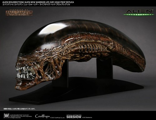 CoolProps Alien New Warrior Life Size Head Collectible Prop Replica NIB ...