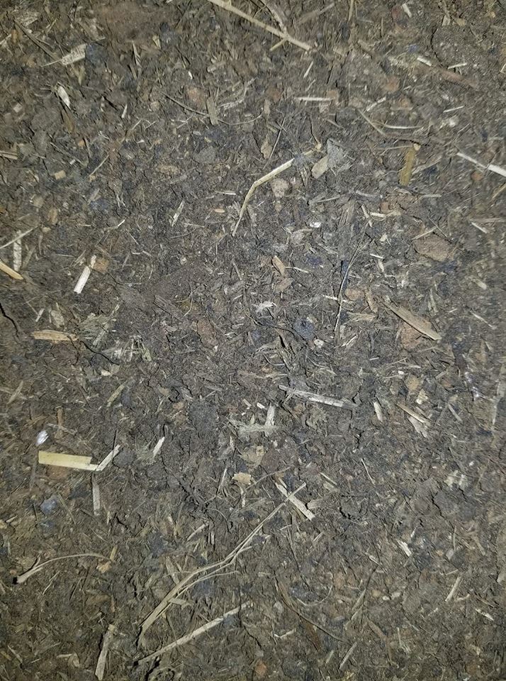 100% Horse Manure Compost, Dried Shredded & Aged and Rain Leached Sun ...