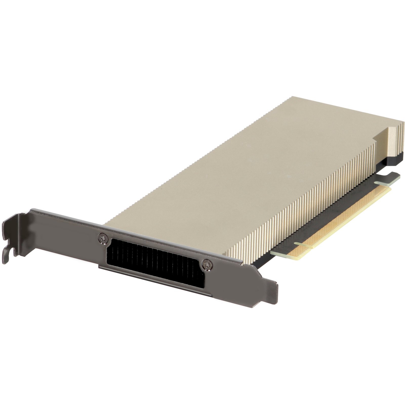 Dell NVIDIA L4 Tensor Core 24GB GDDR6 72W FHHL SW FH PCIe GPU (PG193 ...