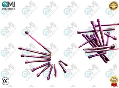 HerBert Screws 2.5mm , 14 to 30mm, Titanium screws with screw driver ...