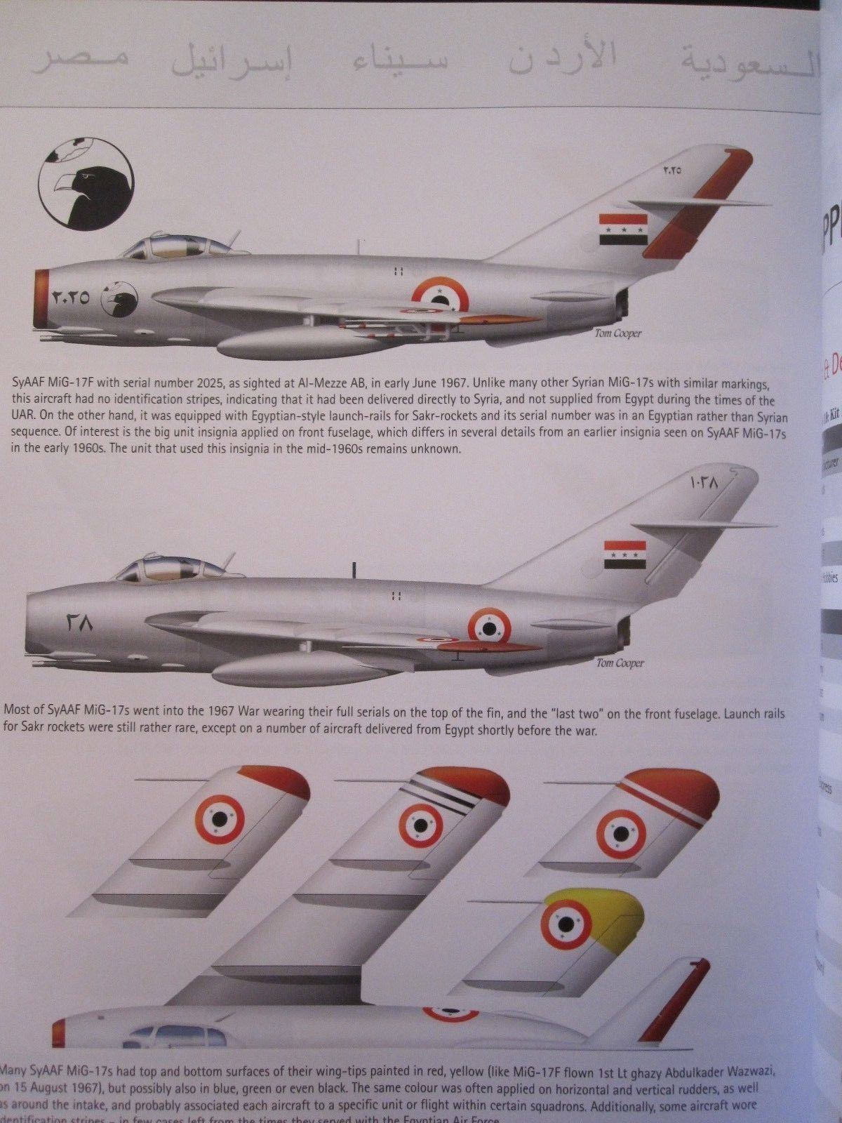 ARAB MiGs : Mikoyan I Gurevich Mig-15 and Mig-17 in Service with Air ...