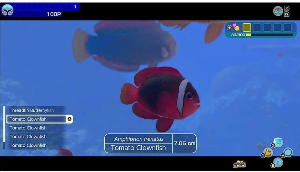 Endless Ocean Luminous Nintendo Switch | Explore 500+ Sea Creatures ...