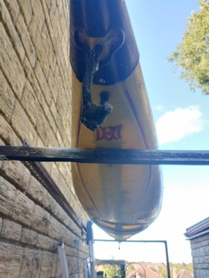 Perception Dancer Kayak With Paddle | eBay UK
