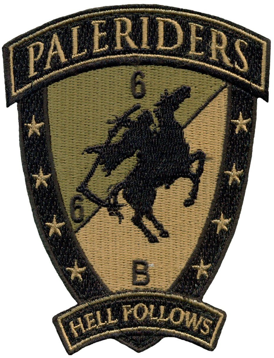 US ARMY B TROOP 6th SQUADRON 6th CAVALRY REGIMENT PALERIDERS PATCH ...