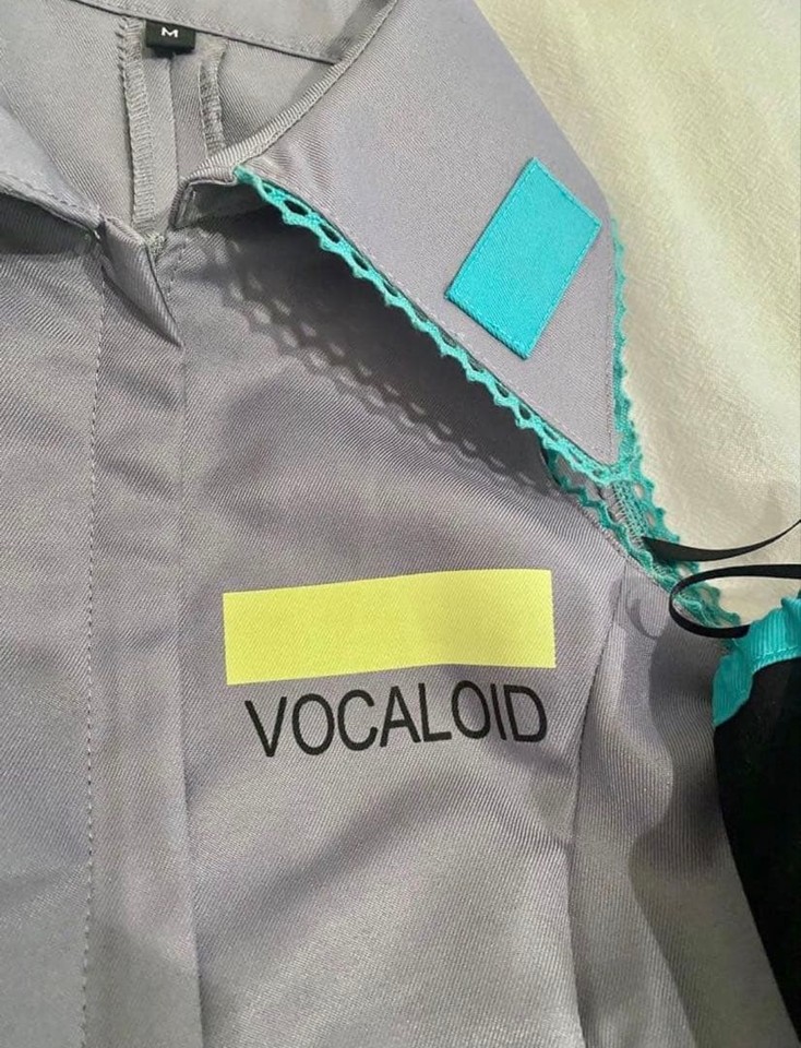 Hatsune Miku Cosplay Costume Used Clean Mint Green Size M Japan | eBay