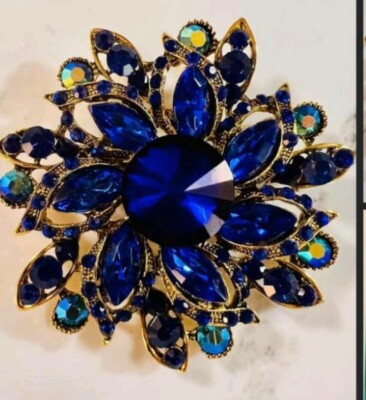Stunning Blue Glass Brooch | eBay