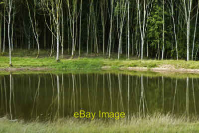 Photo 6x4 Pond at the eastern end of Mathon Court Ham Green c2014 | eBay UK