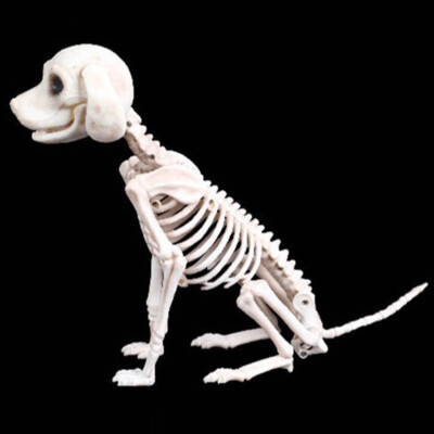 Halloween Scary Skeleton Dog Prop Animal Bones Party Shop Decoration ...