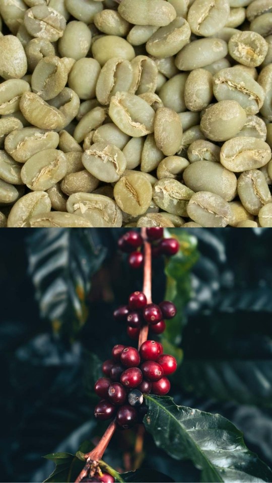 Brazil Cerrado Natural Process Green Coffee Beans | eBay