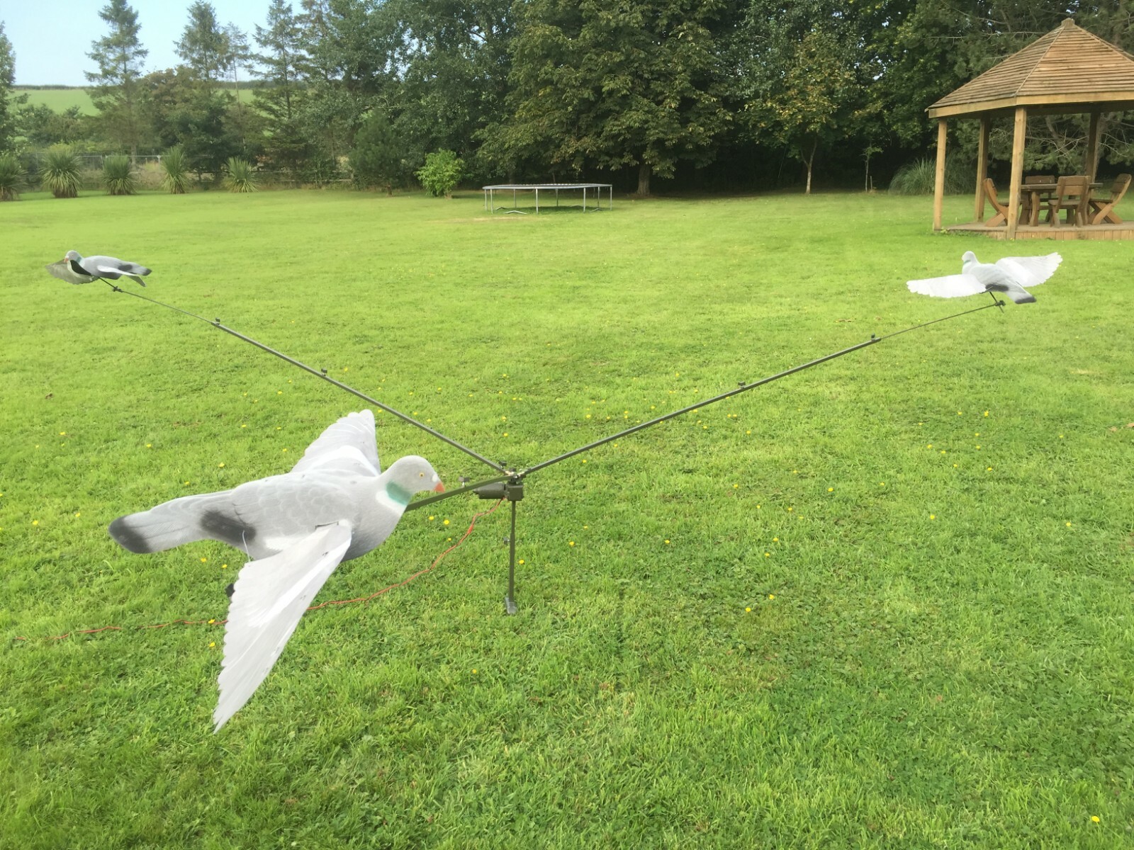 Mega Pigeon Magnet 14ft Wingspan Professional 2 Arm or 3 Arm Option ...