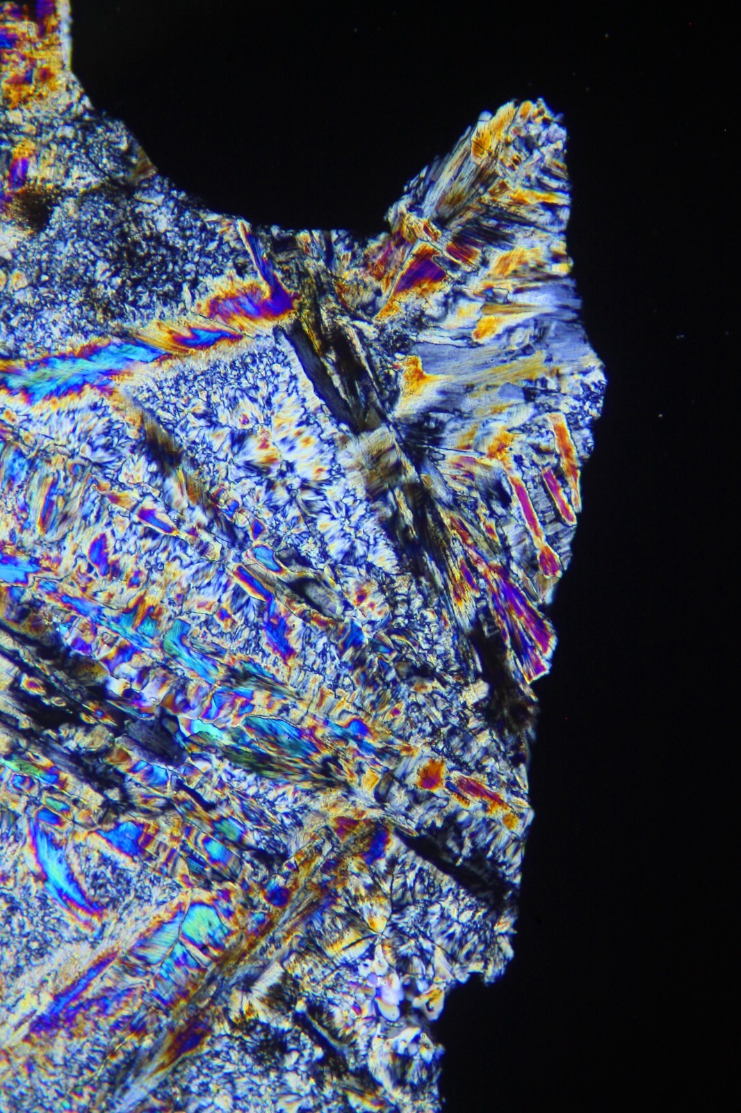 Antique Microscope slide by C.M.Topping. Section of a Scotch Pebble ...