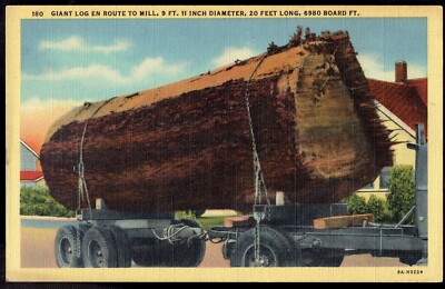Logging - Giant Log in Route to Mill Oregon/Washington unposted ...