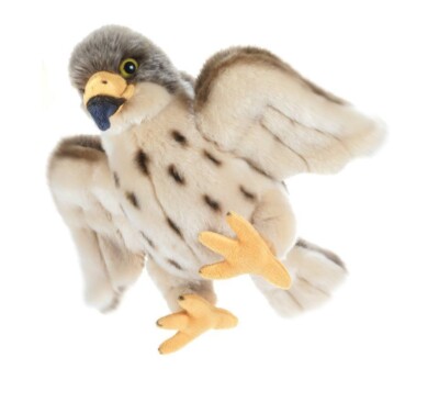 Peluche Falco Pellegrino Plush & Company 15855 H 27 CM Peregrine falcon ...
