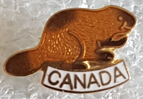 BROWN BEAVER CANADA SOUVENIR LAPEL PINBACK PIN METAL COLLETIBLE | eBay