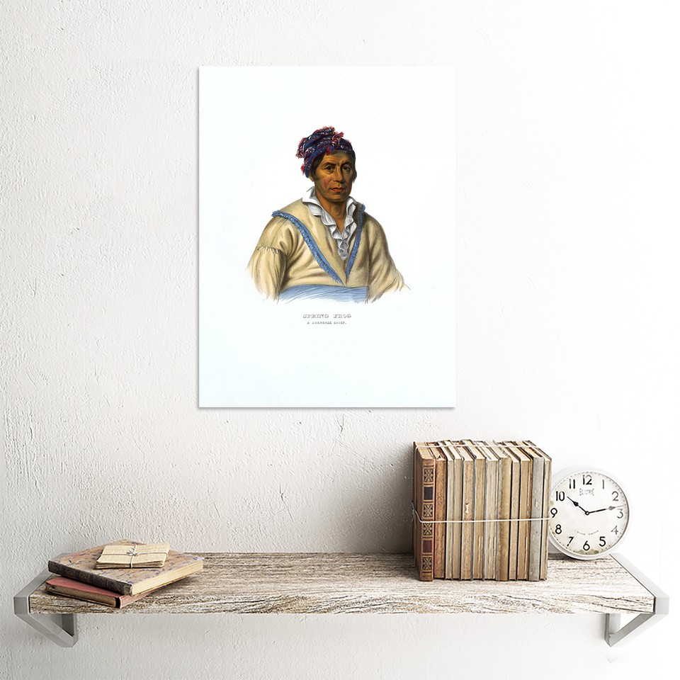 PAINTING LITHOGRAPH SPRING FROG NATIVE AMERICAN CHIEF CHEROKEE ART ...