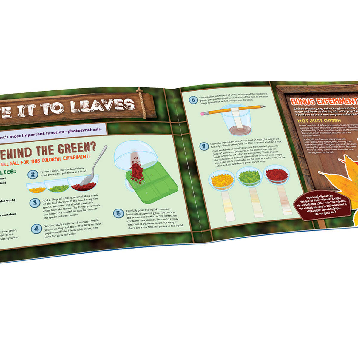 Outdoor Science Lab | eBay