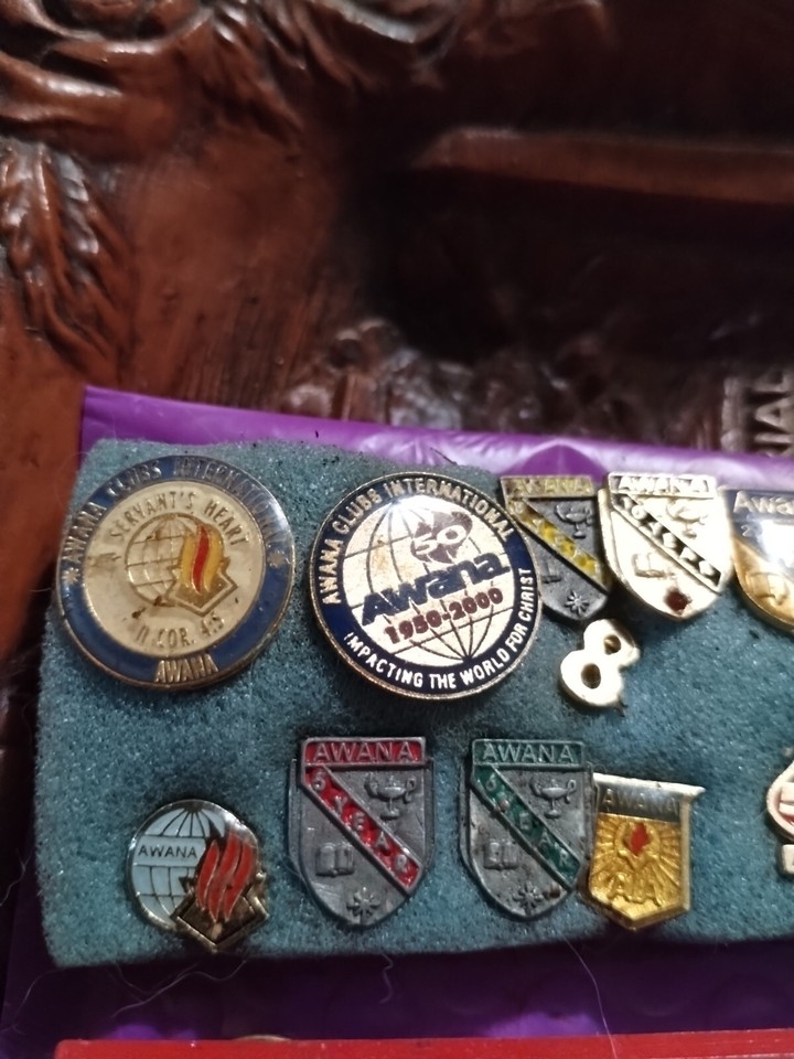 Vintage Awana Pin Award Lot~HUGE COLLECTION LOT | eBay