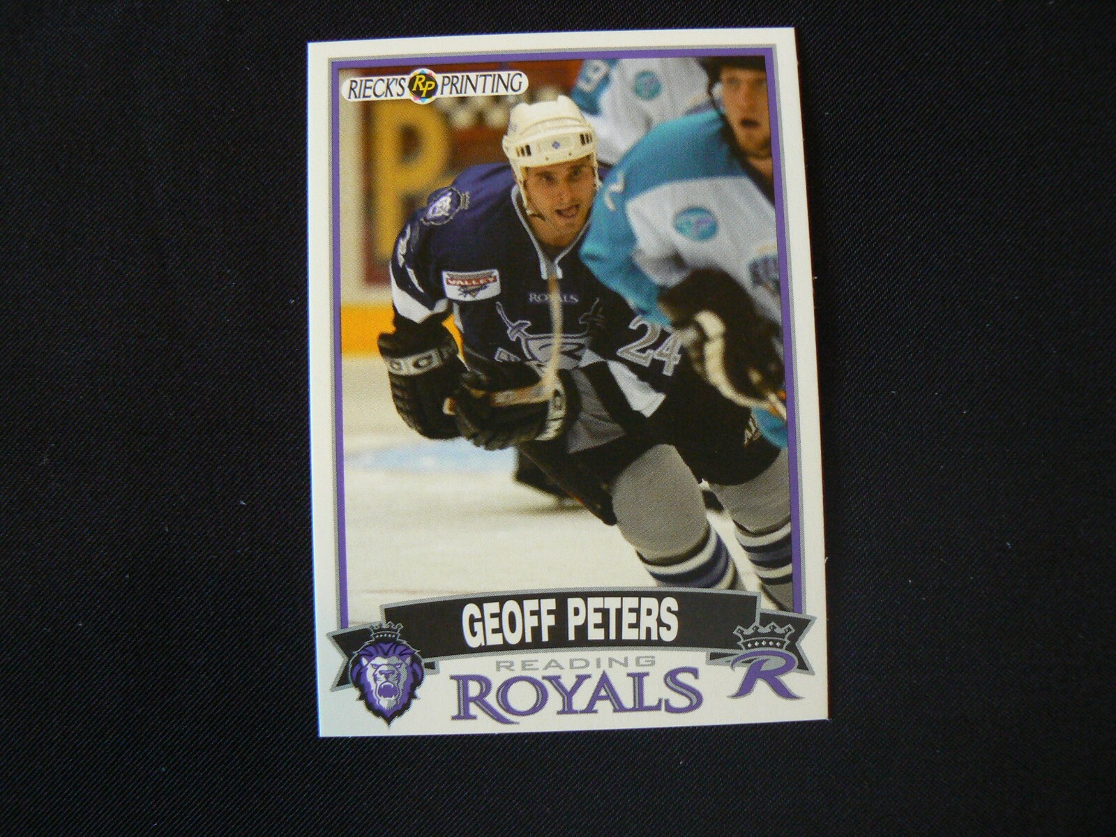 2002-2003 Reading Royals (ECHL) Hockey Series 3 Partial Team Card Set ...