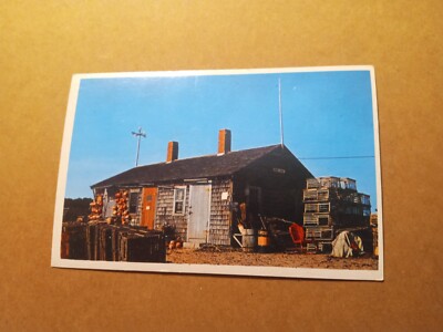 A Typical Lobster Shack Cape Cod Massachusetts - Old Postcard | eBay