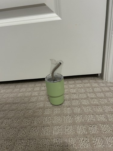 Mini Stanley Tumbler 3” Collectible Cup Mint Green Miniature - Free ...